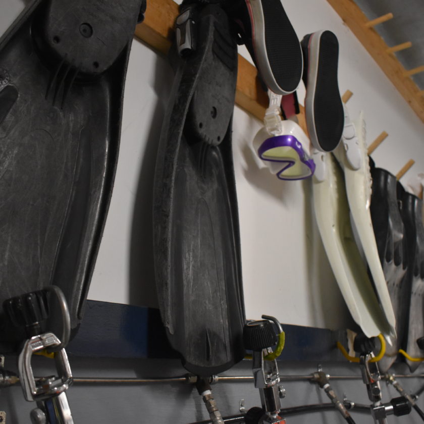 Alumni Pool and Wang Fitness Center - Daper