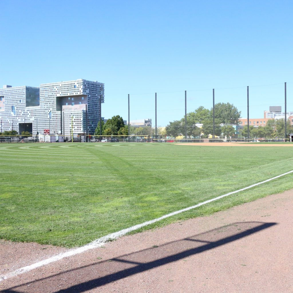 Fran O'Brien Field - Daper