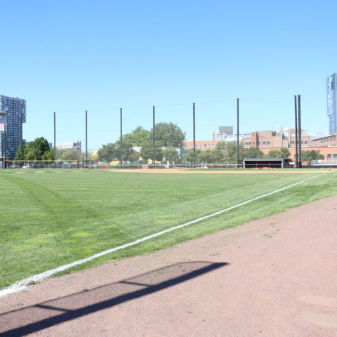 Fran O'Brien Field - Daper